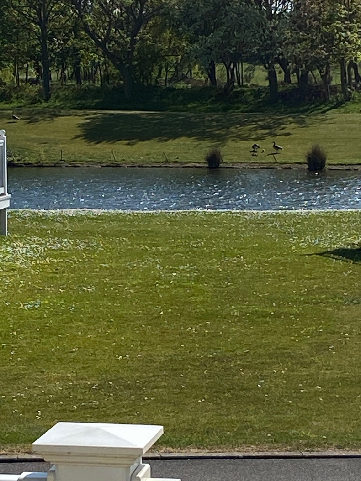 Pebbles Retreat | At The Retreat Holidays