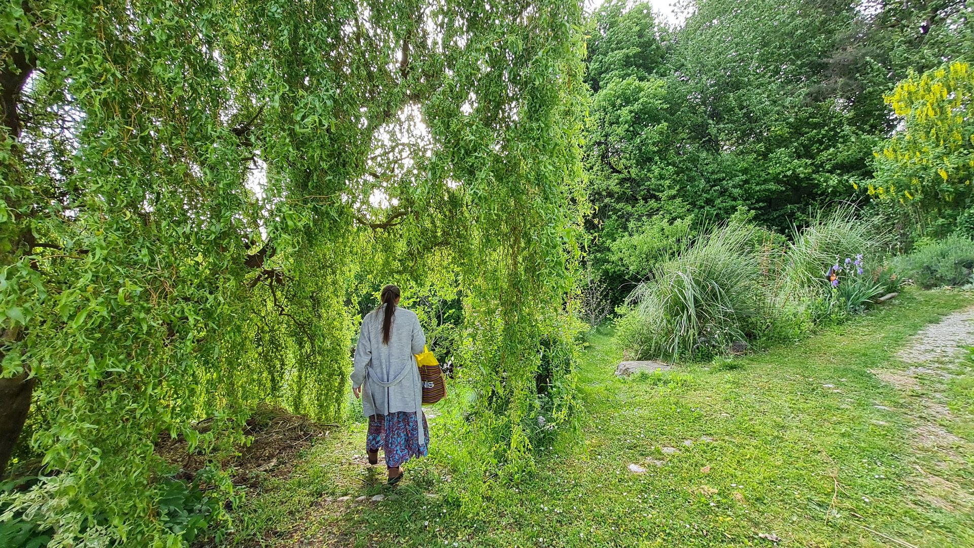 Retreat for women with Mateya Triglav at Ananda Eden: Gateways of ...