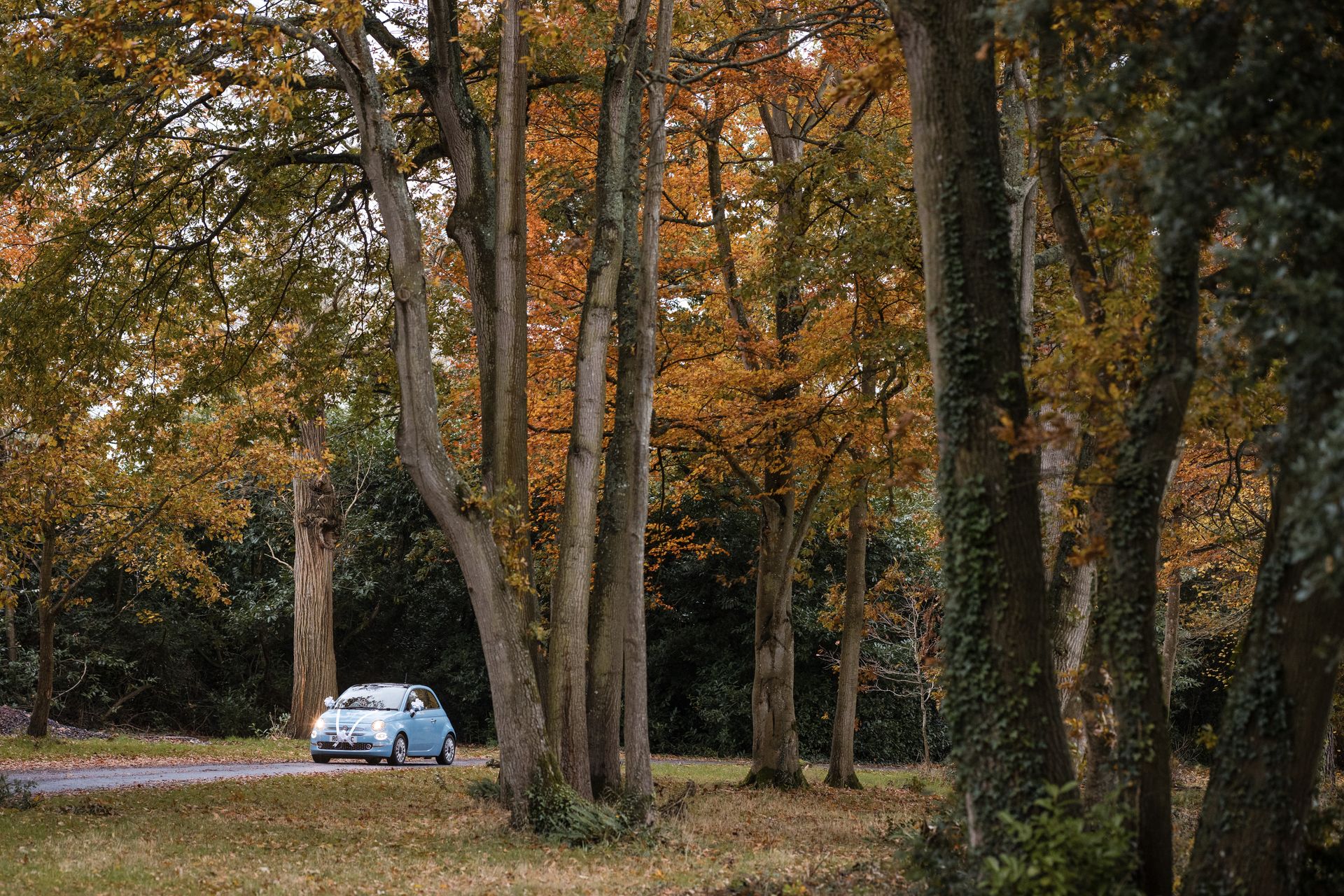 Wedding Gallery Inspiration, Rockbeare Manor, Exeter