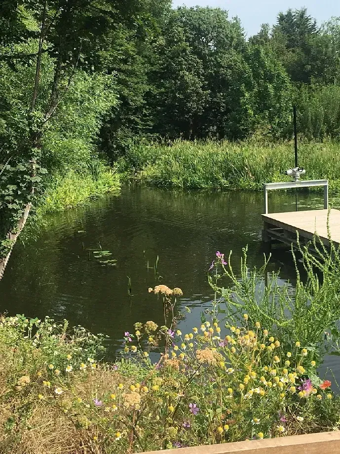 The River Mill - Pub & Restaurant St Neots - Make A Reservation