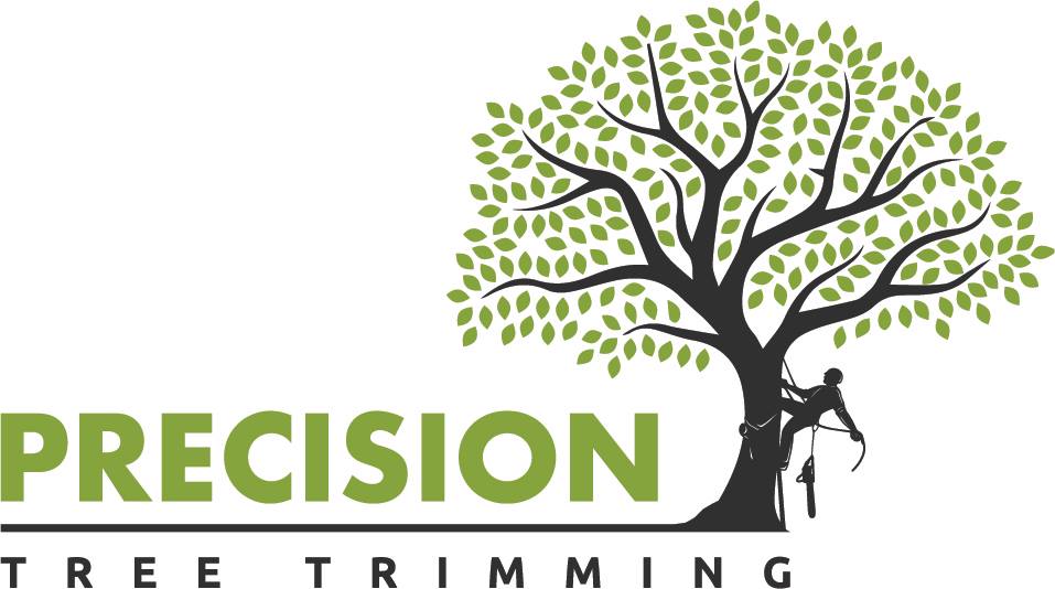Local Tree Service | Vass, NC | Precision Tree Trimming and Removal