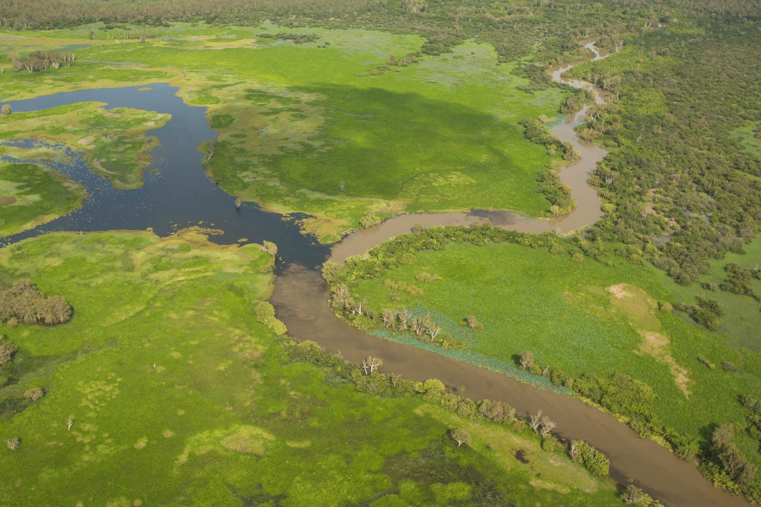 Agreements Nlc Access Information