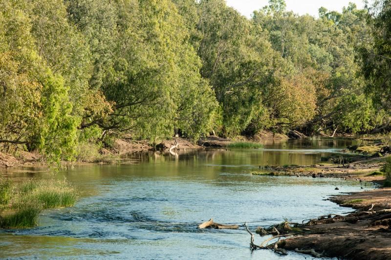 Aboriginal Land Management | Northern Land Council NLC