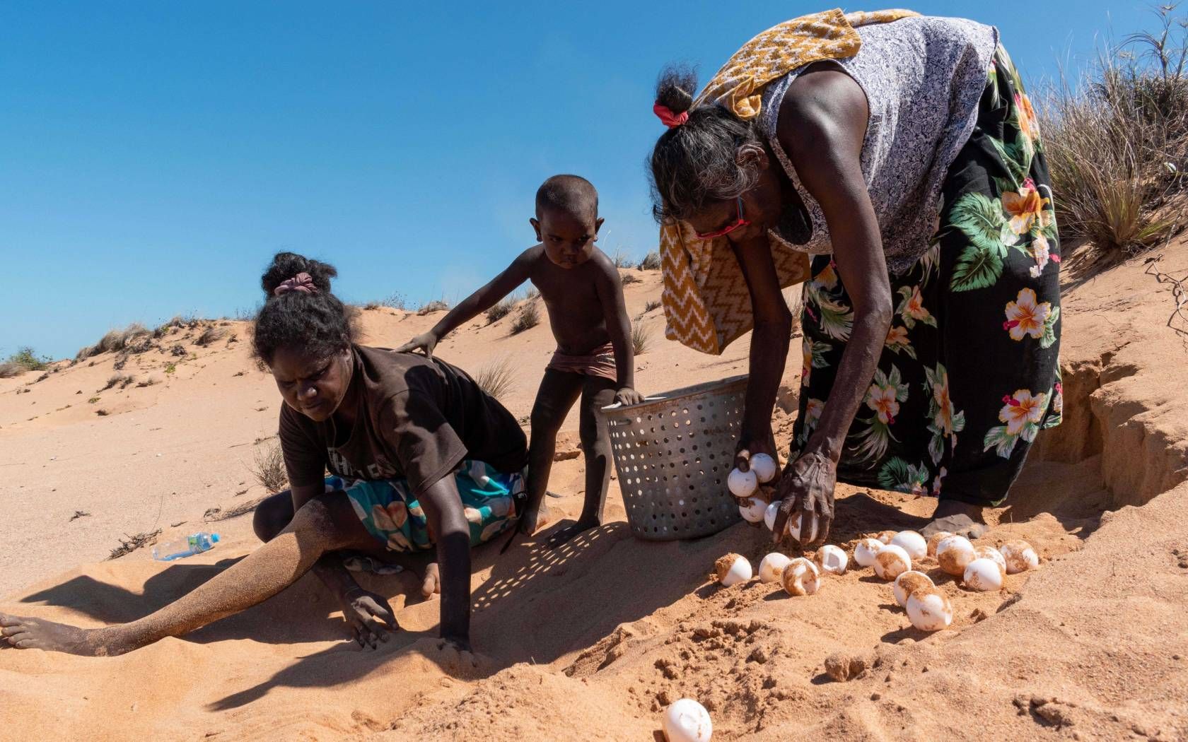 Aboriginal Land Management | Northern Land Council