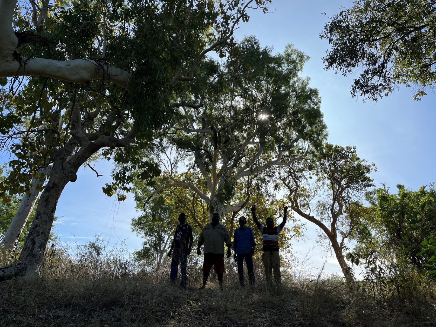 Aboriginal Land Management | Northern Land Council