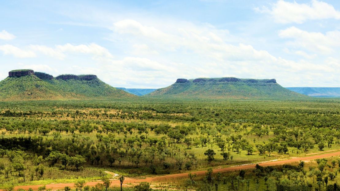 Aboriginal Land Management | Northern Land Council NLC