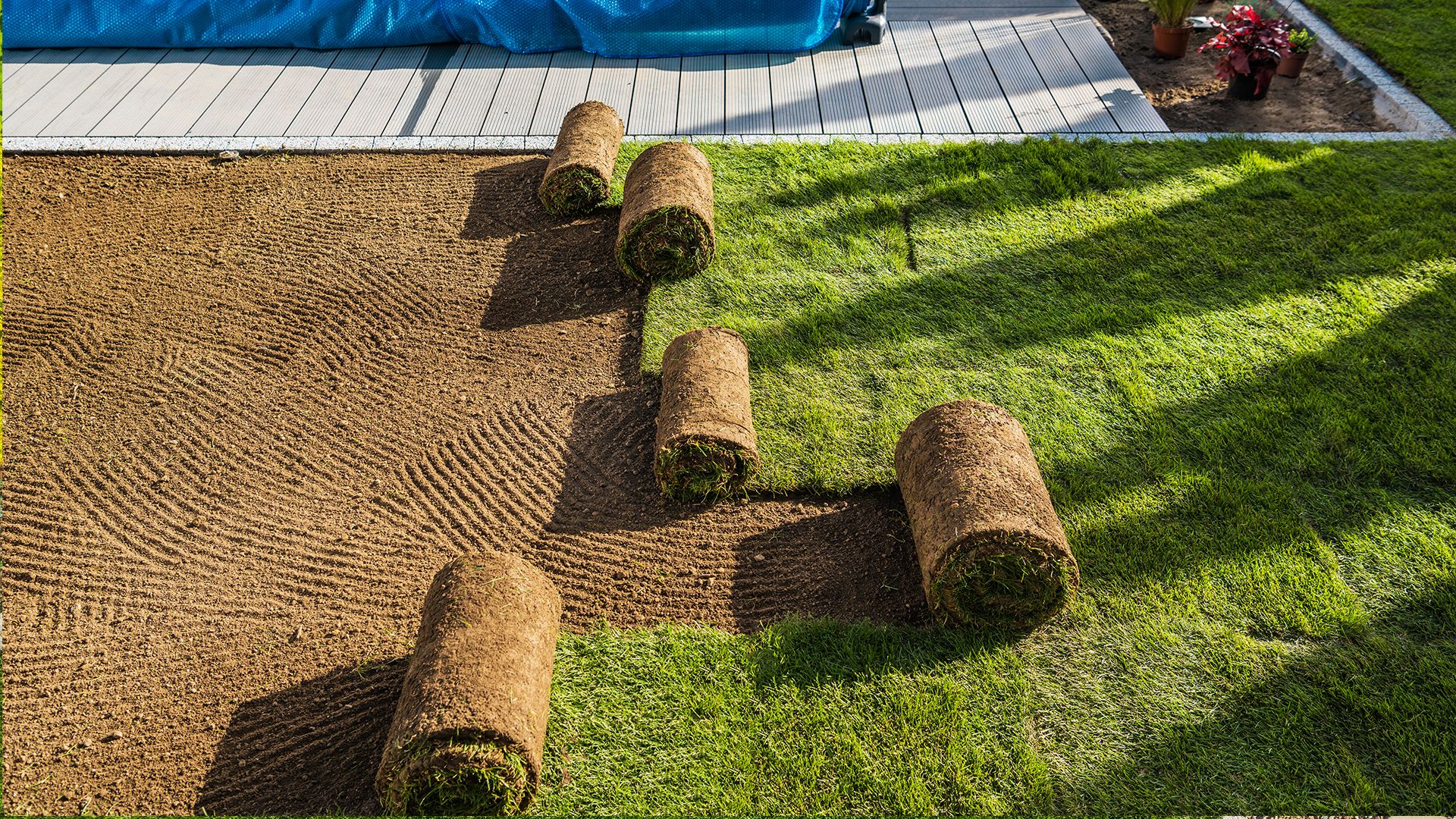 Can You Lay Sod in Fall? Expert Installation Guide Tips