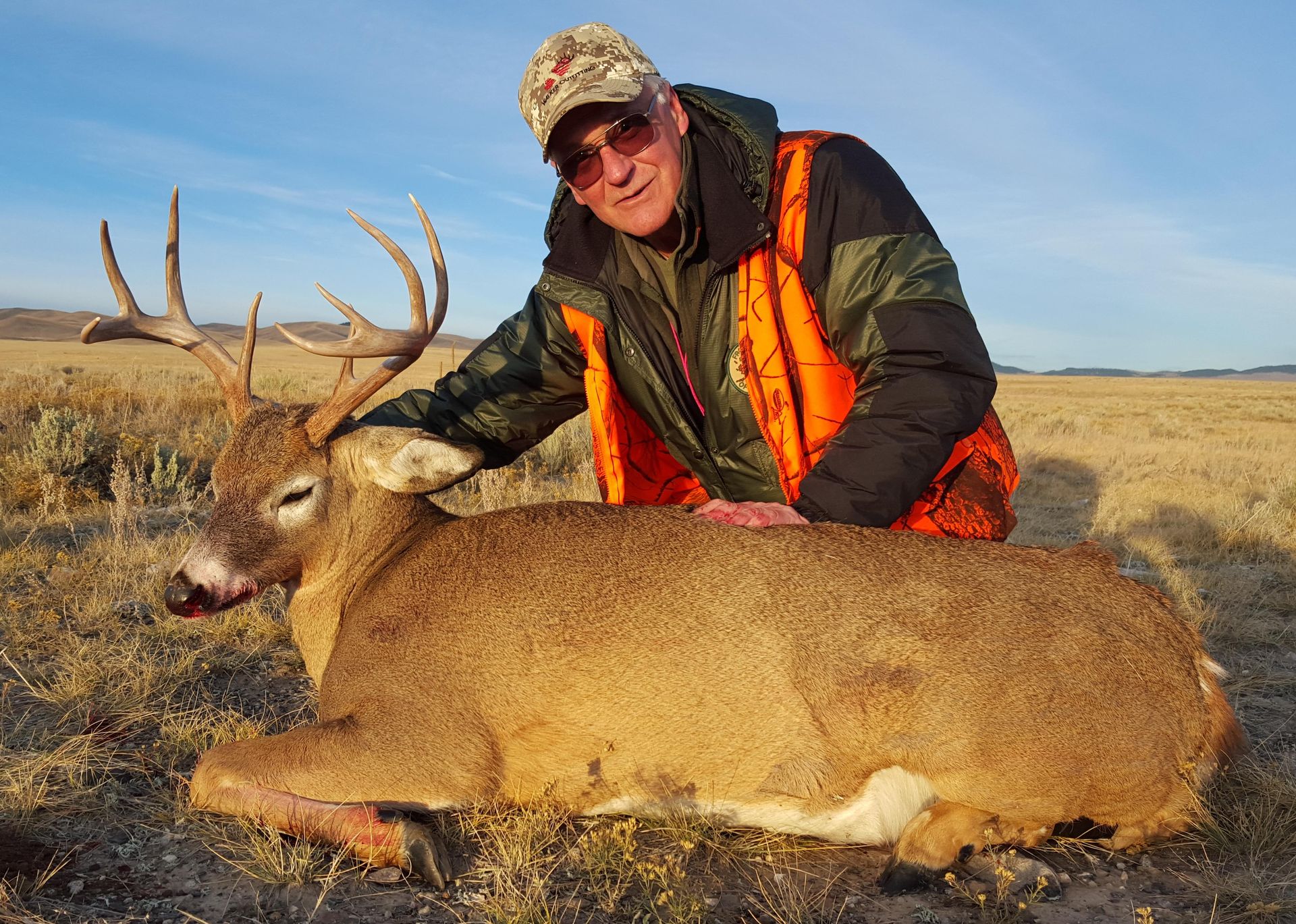 Whitetail Deer Gallery | Walker Outfitting, LLC | SW MT
