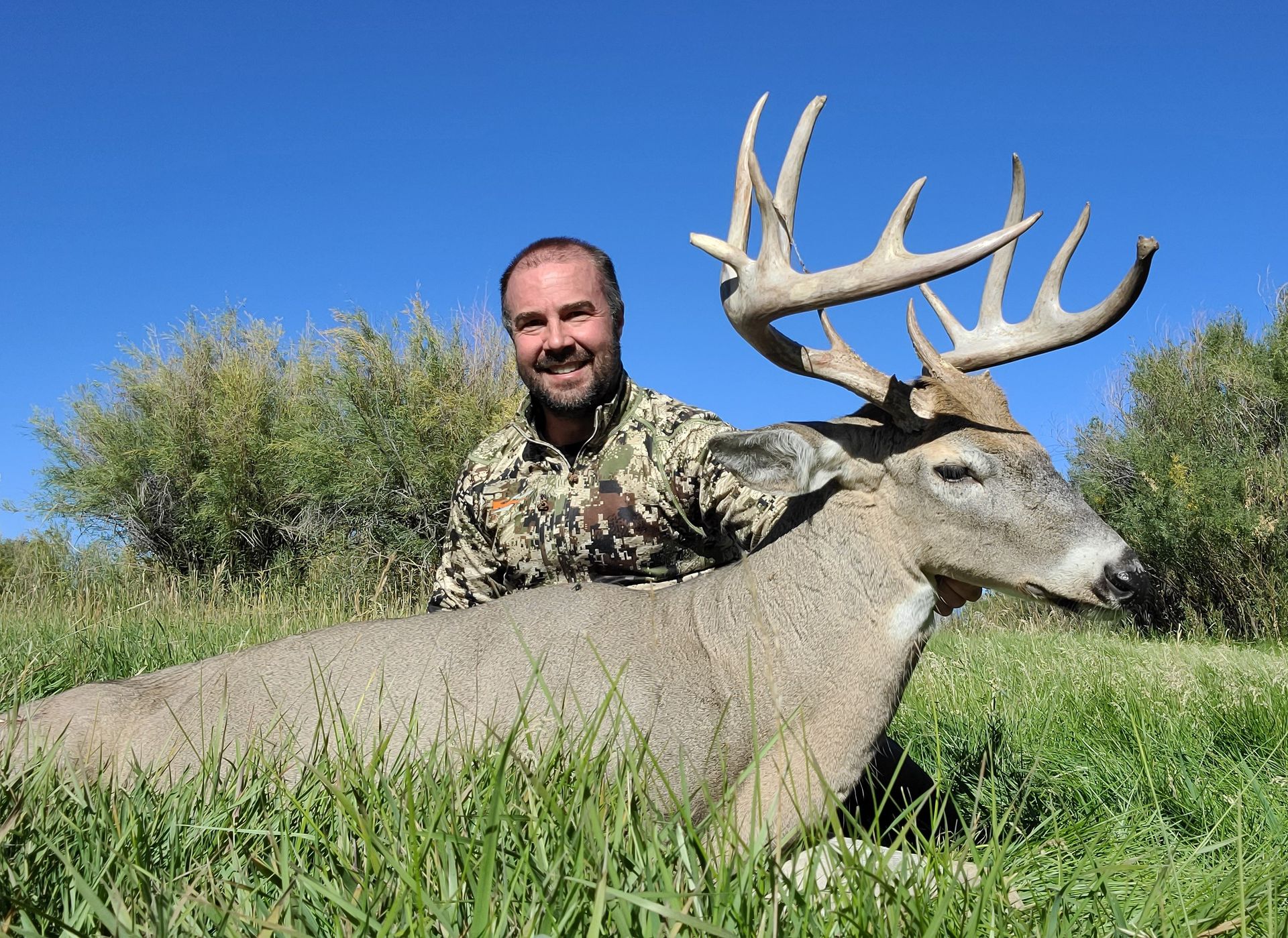 Whitetail Deer Gallery | Walker Outfitting, LLC | SW MT