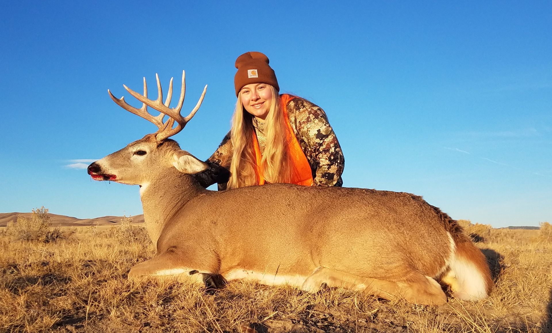 Whitetail Deer Gallery | Walker Outfitting, LLC | SW MT