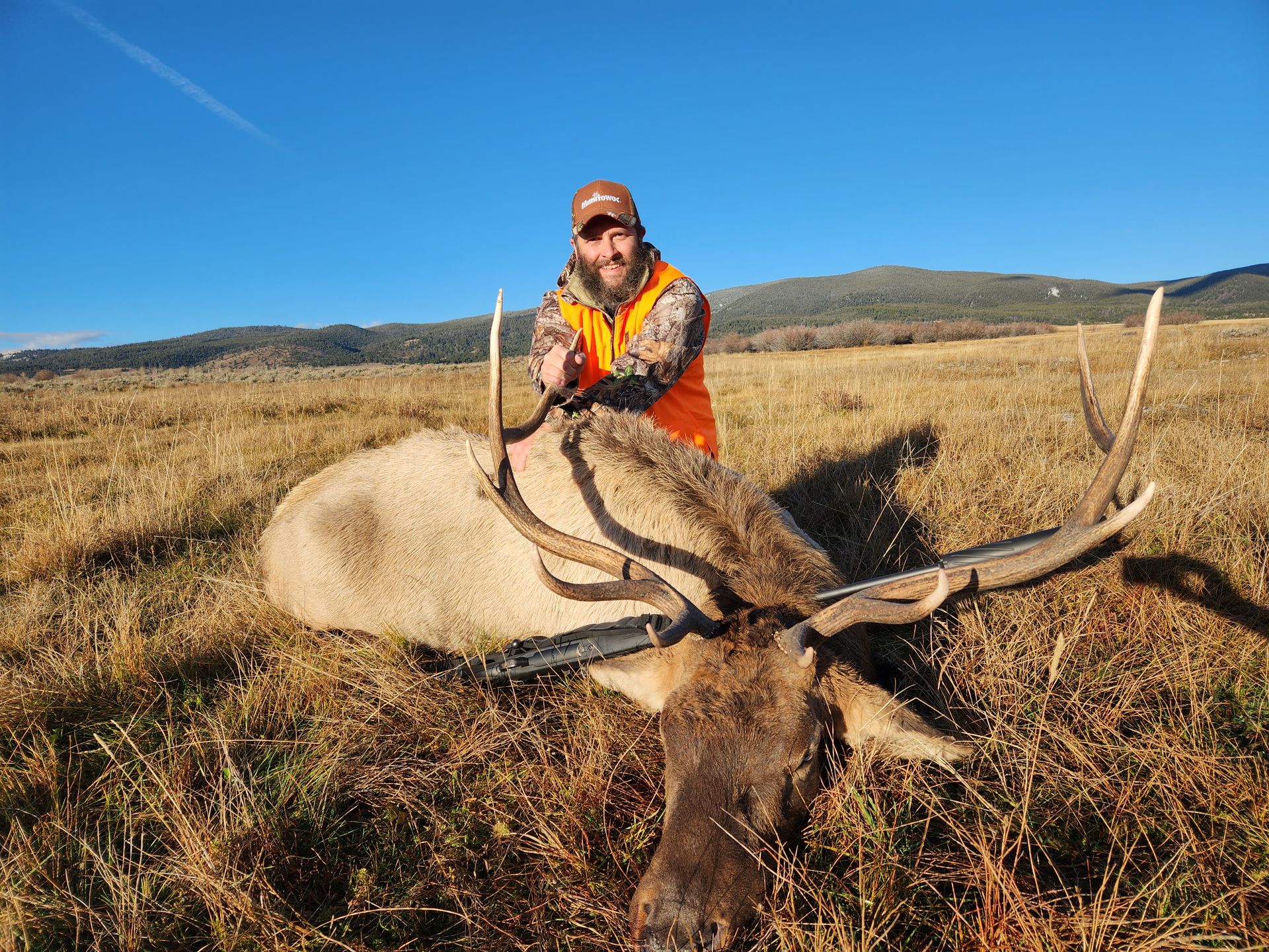 Elk Gallery | Walker Outfitting, LLC | SW MT