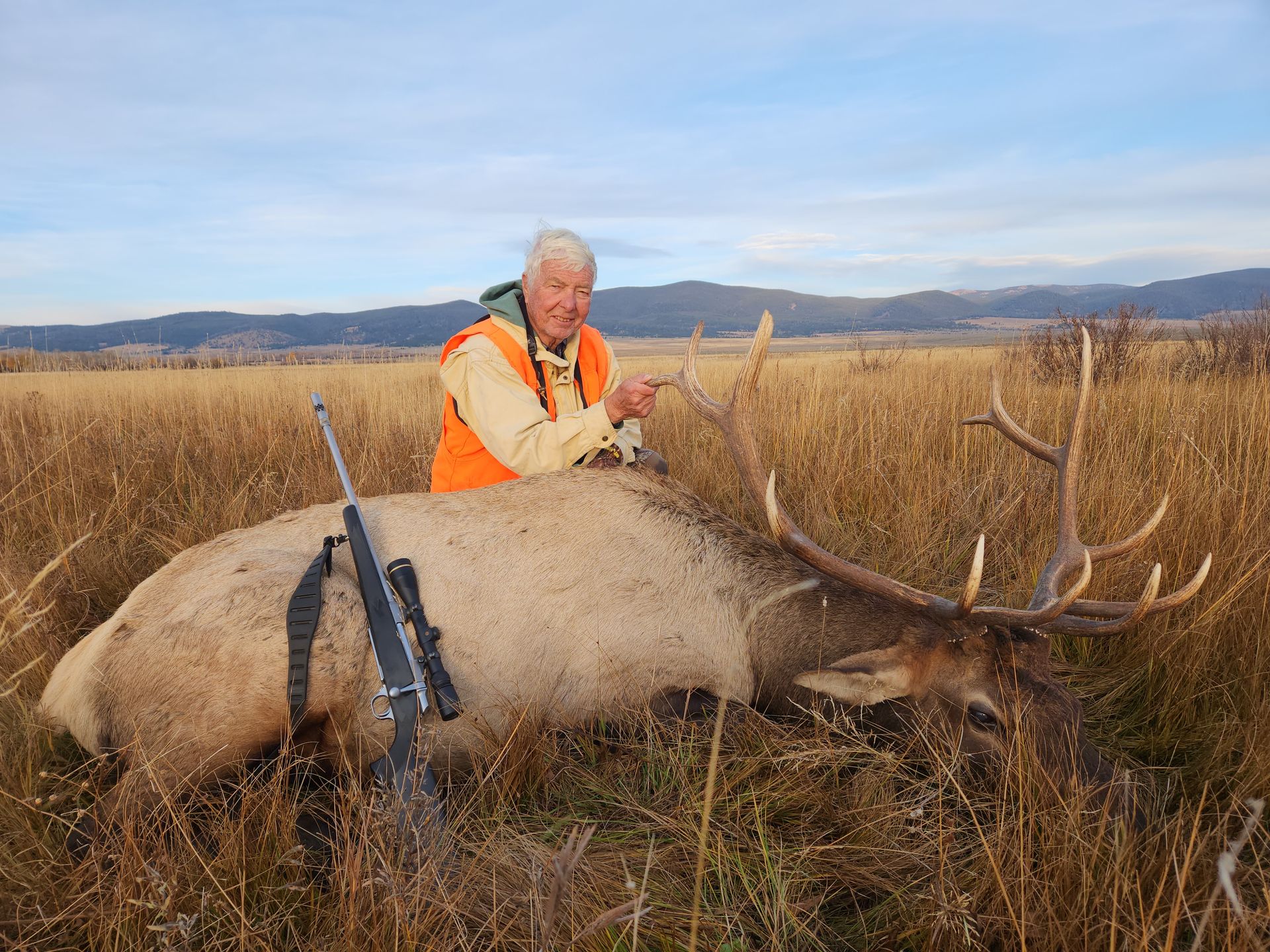 Elk Gallery | Walker Outfitting, LLC | SW MT