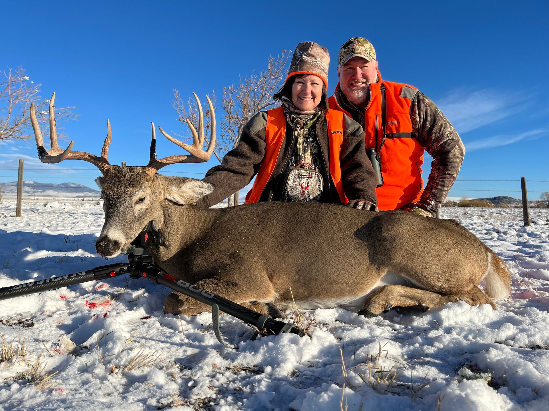 Whitetail Deer Gallery | Walker Outfitting, LLC | SW MT