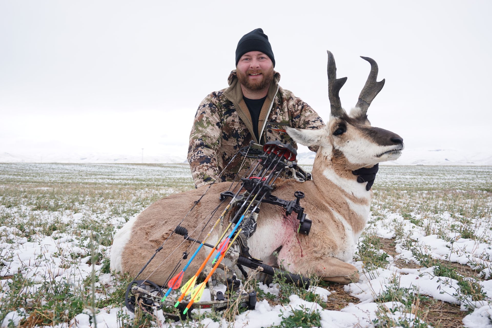 Antelope Archery Hunts | Walker Outfitting, LLC | SW MT
