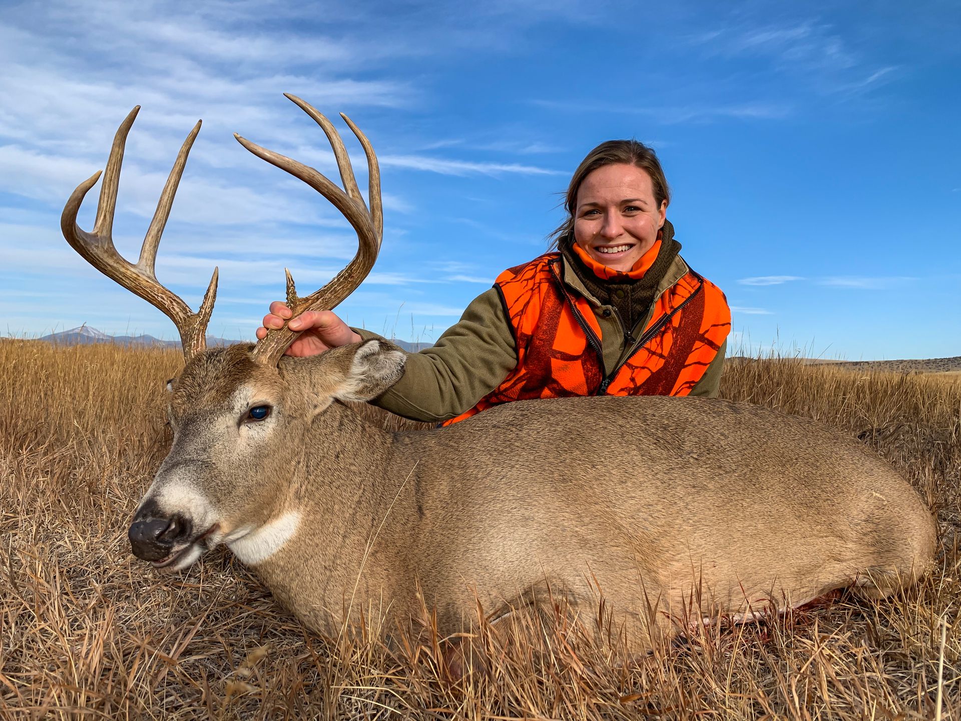 Whitetail Deer Gallery | Walker Outfitting, LLC | SW MT