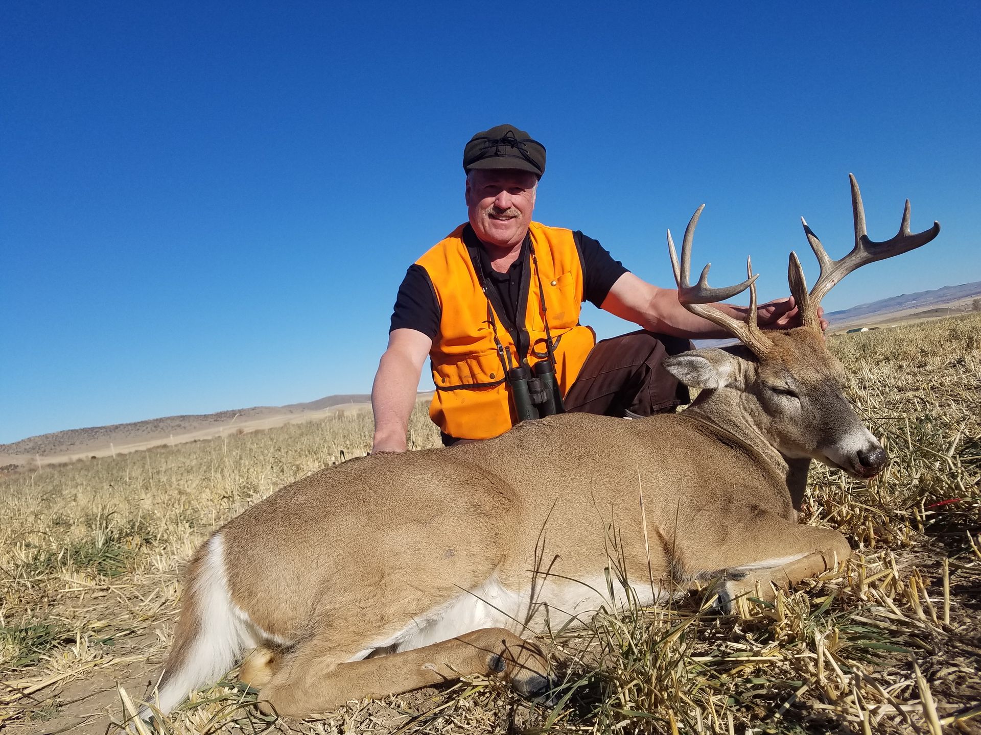 Whitetail Deer Gallery | Walker Outfitting, LLC | SW MT