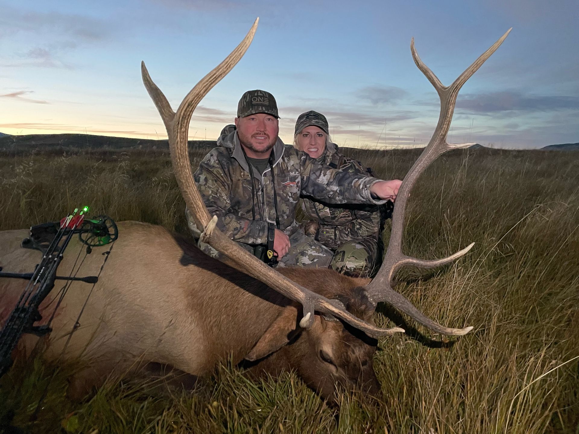 Elk Gallery | Walker Outfitting, LLC | SW MT