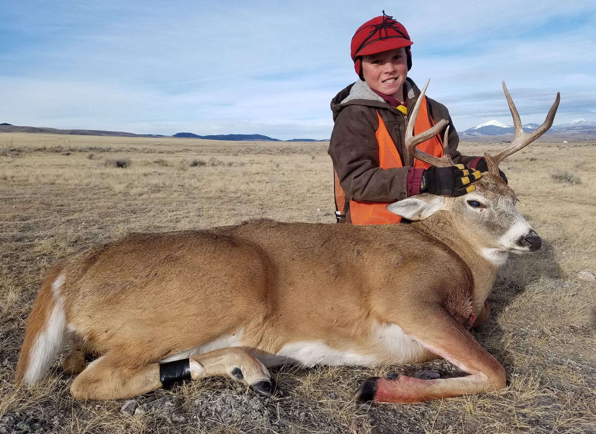 Whitetail Deer Gallery | Walker Outfitting, LLC | SW MT