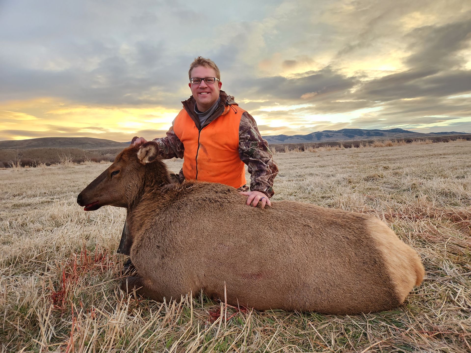 Elk Gallery | Walker Outfitting, LLC | SW MT