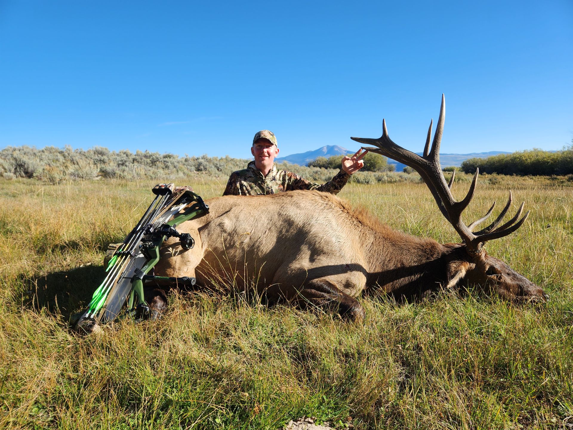 Elk Gallery | Walker Outfitting, LLC | SW MT