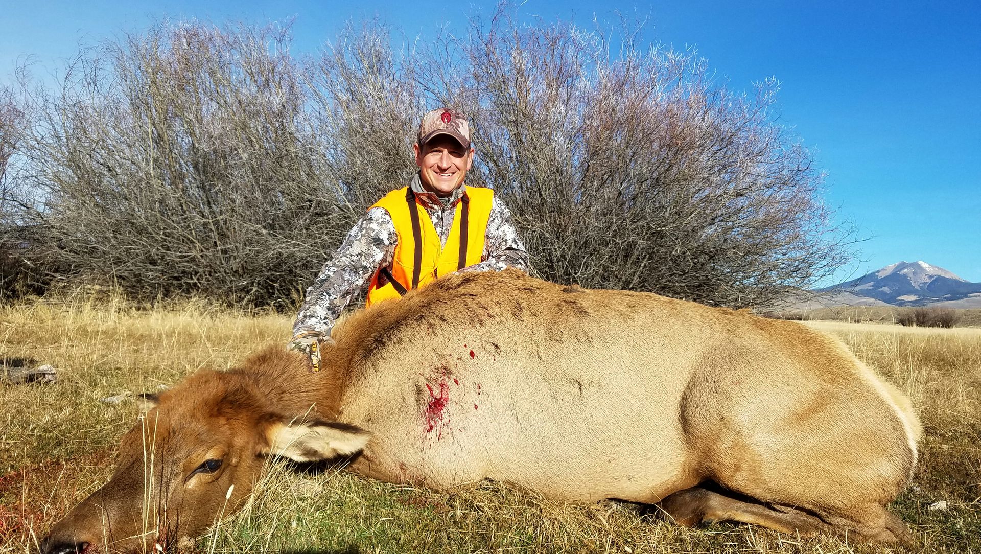 Elk Gallery | Walker Outfitting, LLC | SW MT