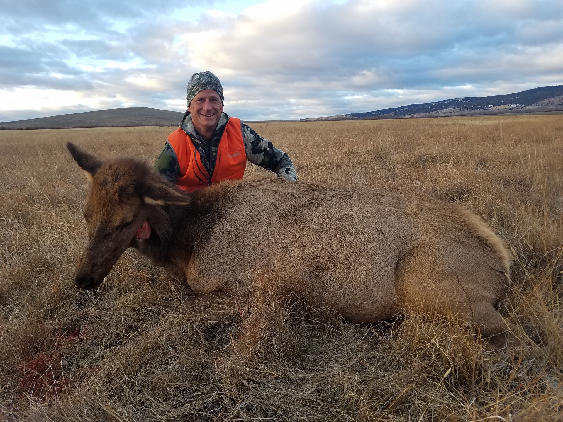 Elk Gallery | Walker Outfitting, LLC | SW MT