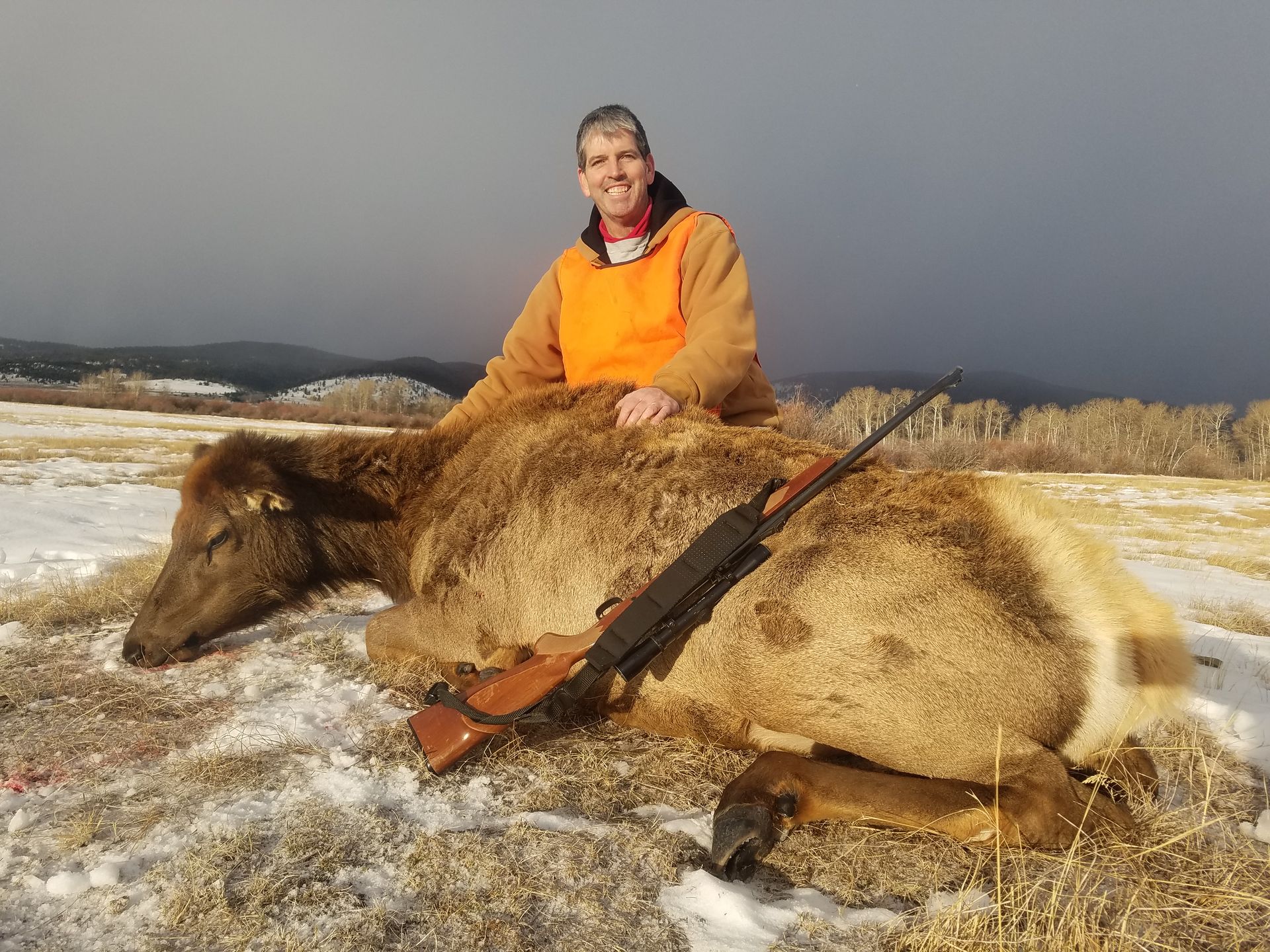 Elk Gallery | Walker Outfitting, LLC | SW MT