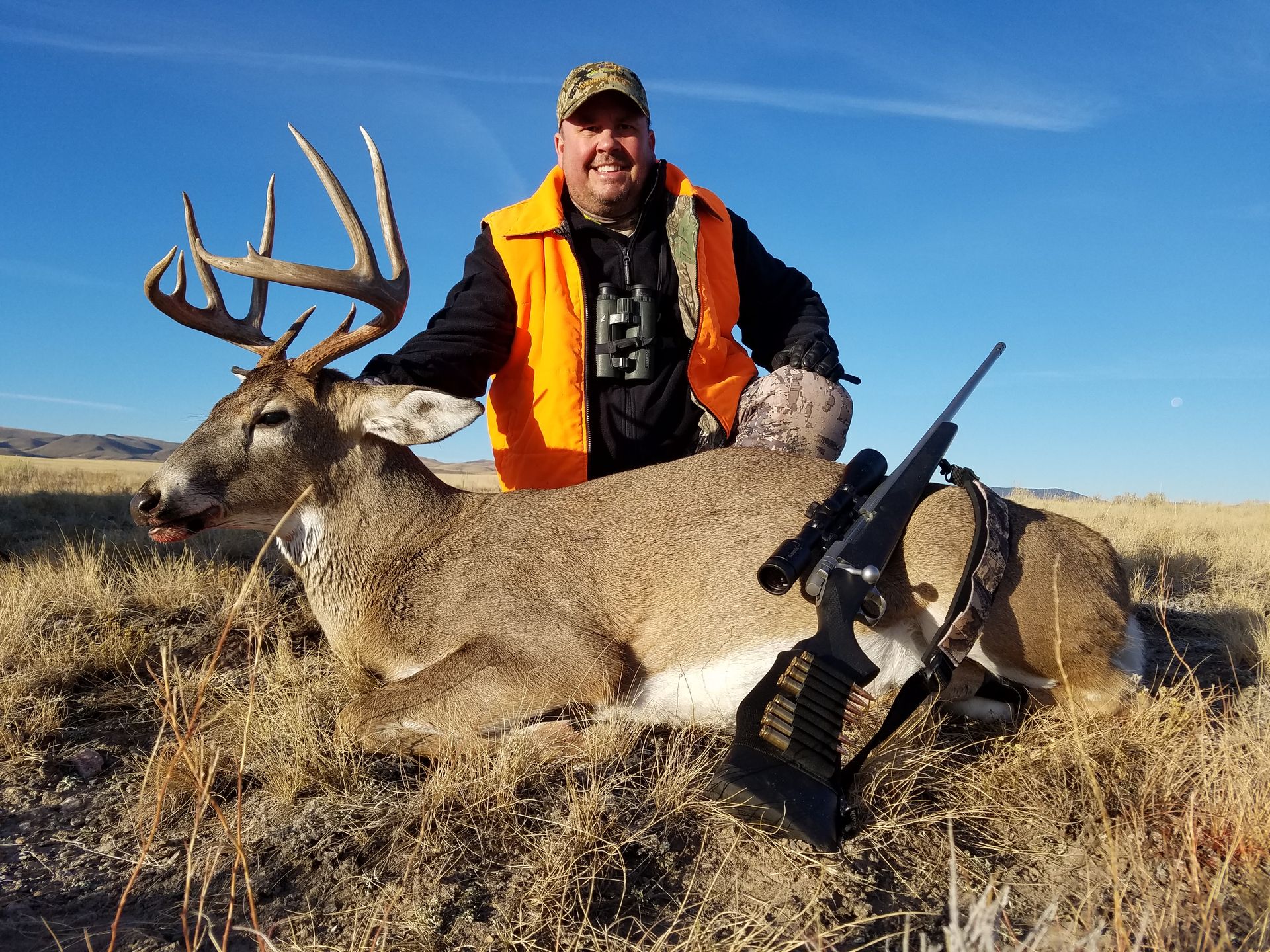 Whitetail Deer Gallery | Walker Outfitting, LLC | SW MT
