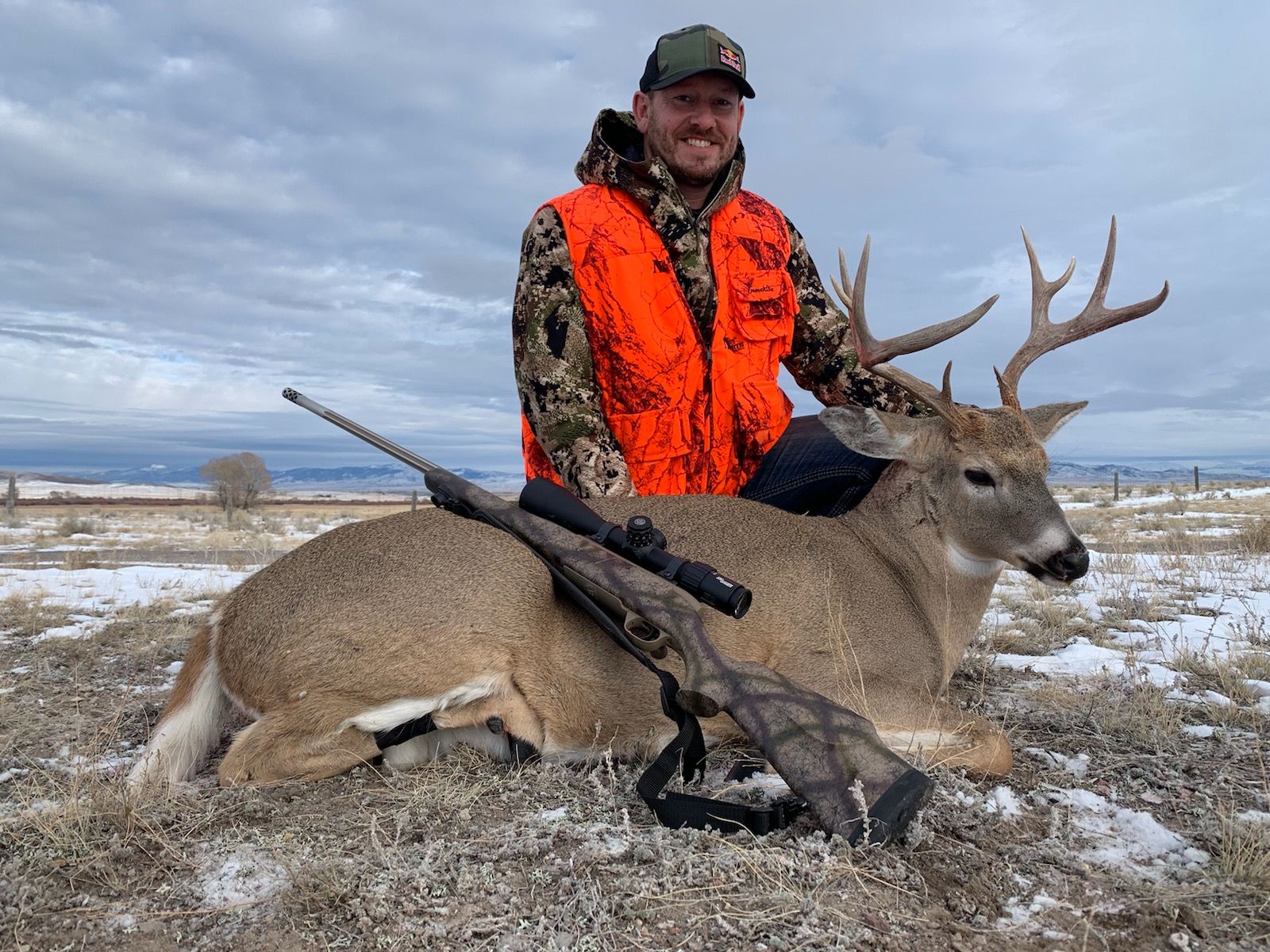 Whitetail Deer Gallery | Walker Outfitting, LLC | SW MT