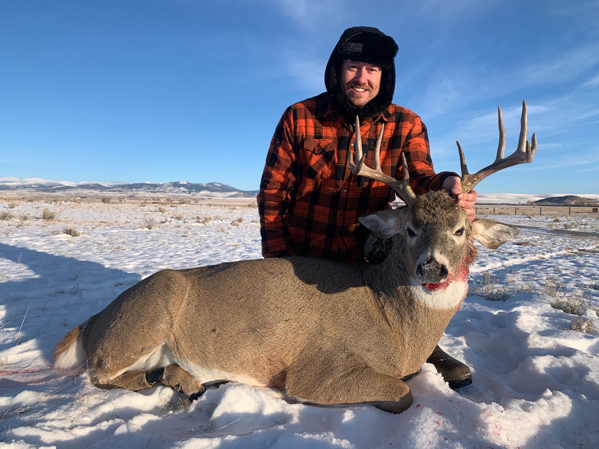 Whitetail Deer Gallery | Walker Outfitting, LLC | SW MT