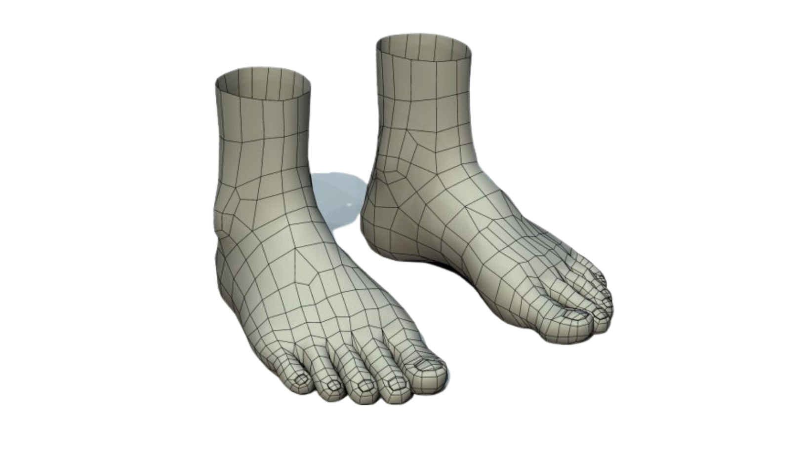 3D Foot Scan: A Revolutionary Tool for Personalised Podiatry Care