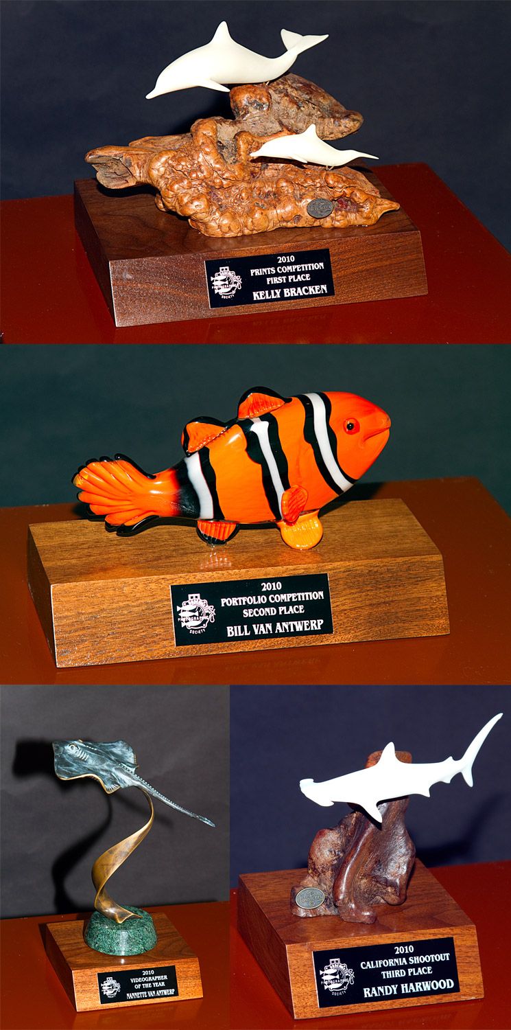 Custom Wood Trophy | Nationwide | 434-299-6102