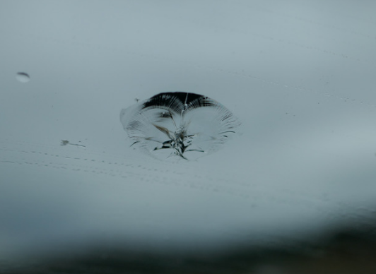 The Different Types of Windshield Cracks and Chips
