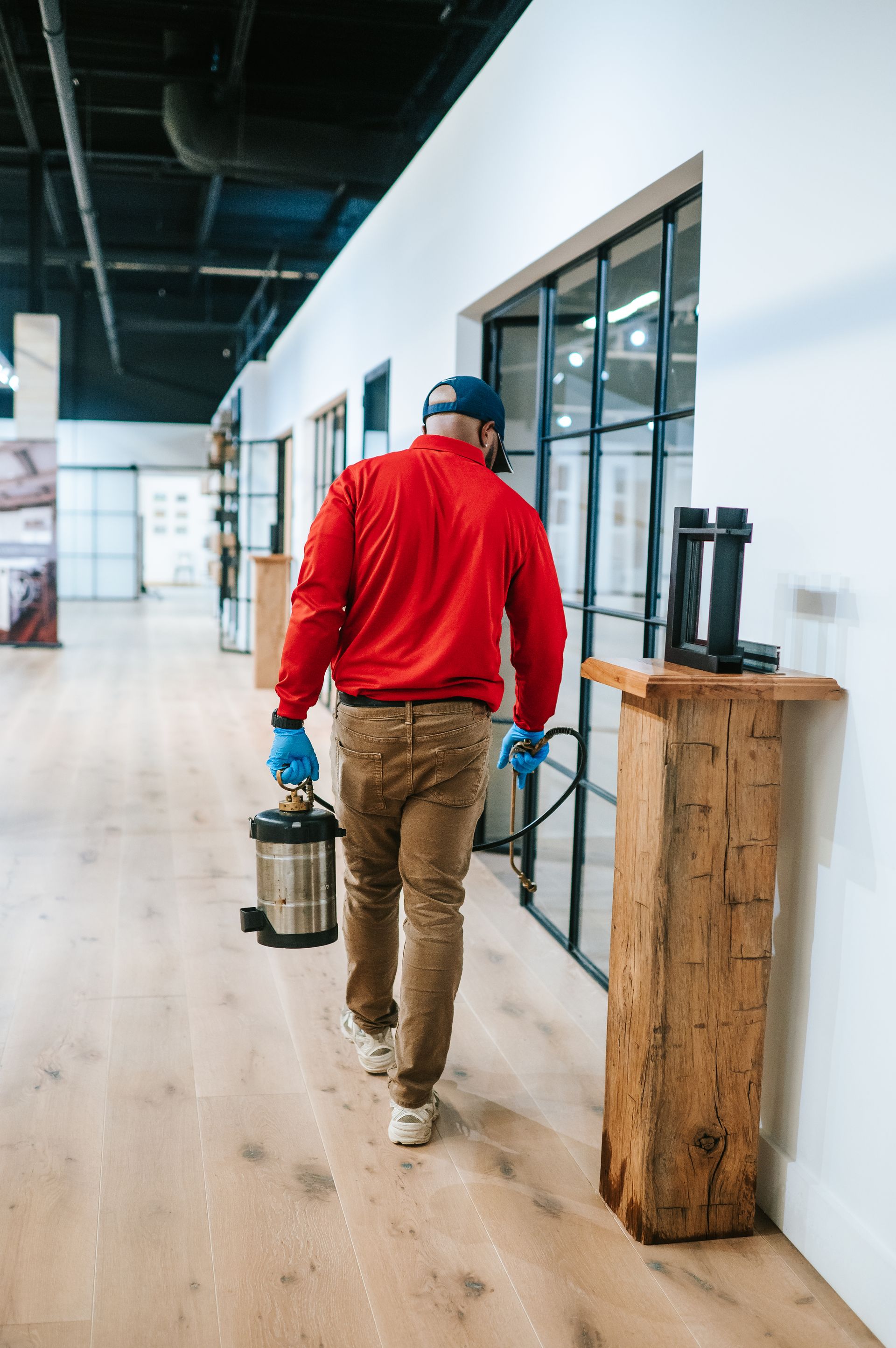 Pest Control Mechanicsville VA | Termite Control and Inspection | Pest ...