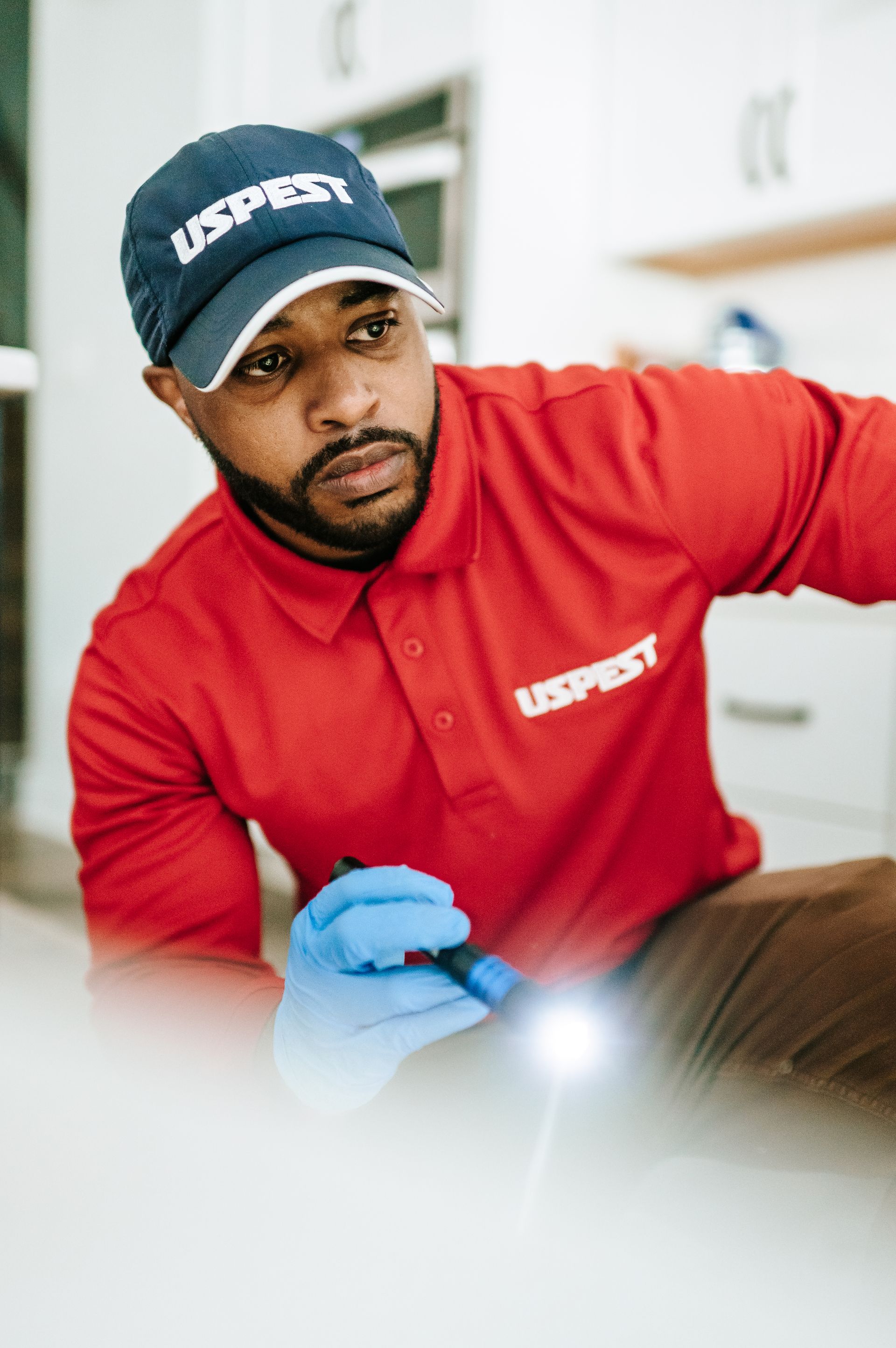 Pest Control Mechanicsville VA | Termite Control and Inspection | Pest ...