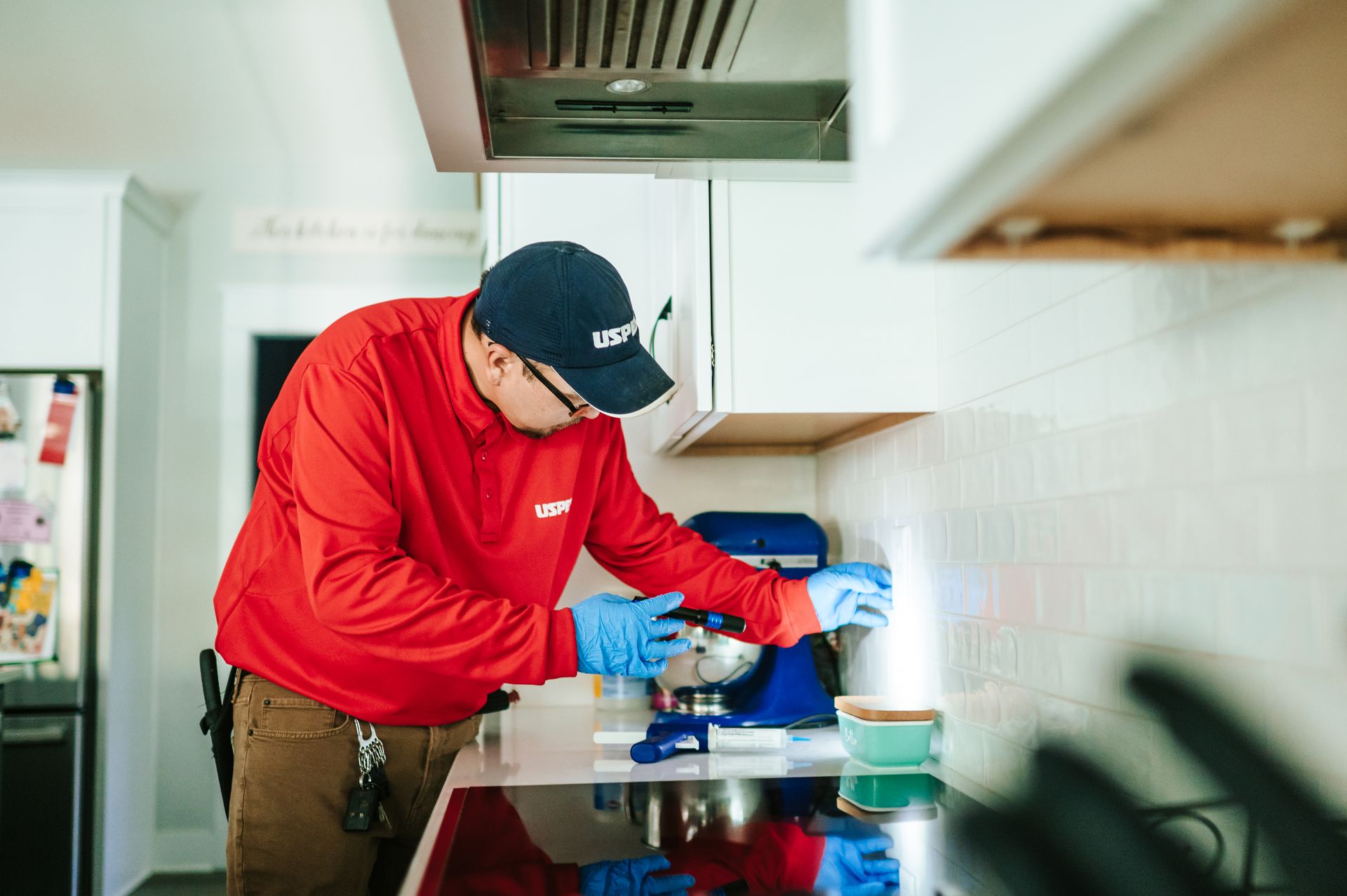 Pest Control Mechanicsville VA | Termite Control and Inspection | Pest ...