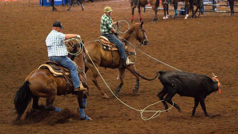 Crownline Indoor Roping Arena Photo and Video Gallery