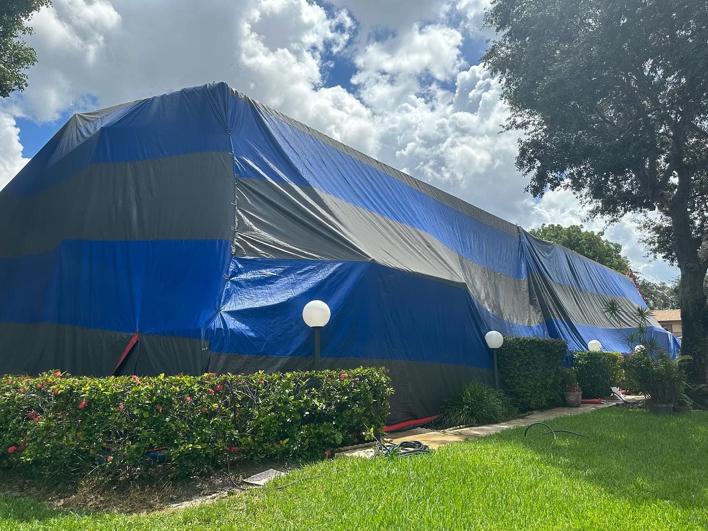 Structural Pest Fumigation | Davie & Fort Lauderdale, FL