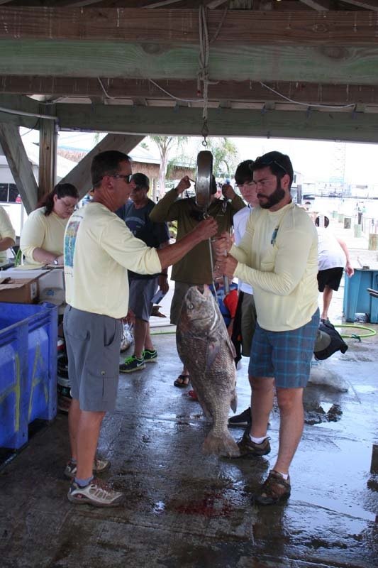 Photos | Golden Meadow-Fourchon Tarpon Rodeo