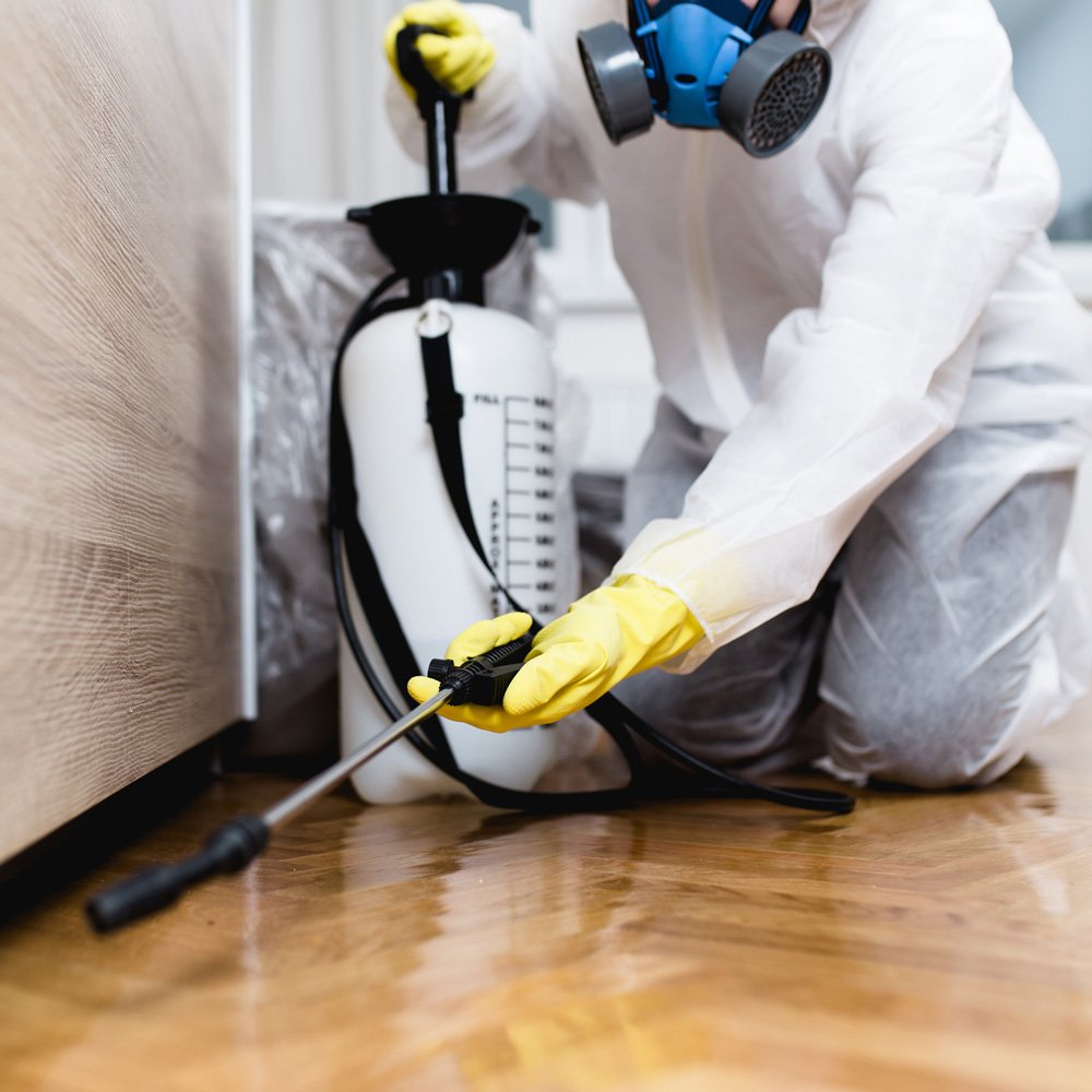 Exterminator | Pittsburgh, PA