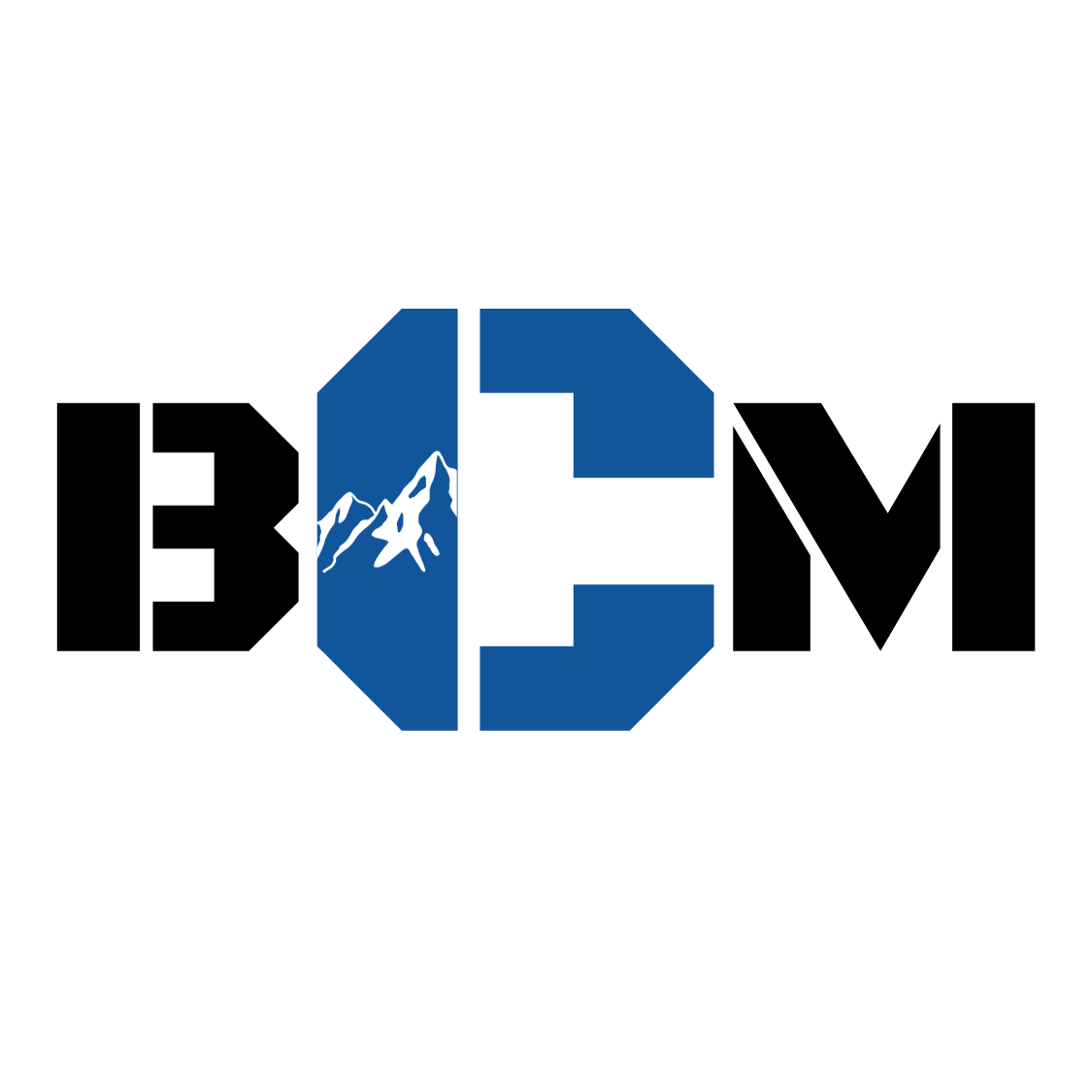 HOME [www.bluecollarm.com]