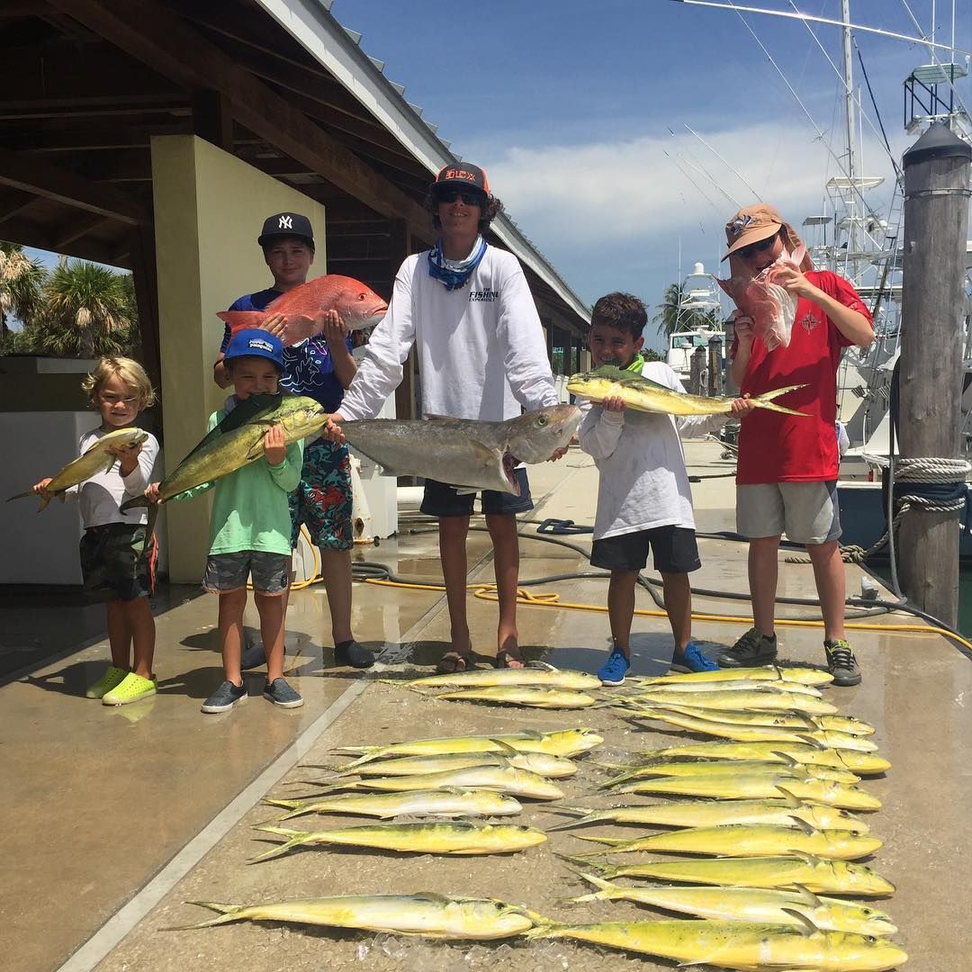 FISH MIAMI