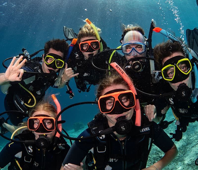 Dive Friends Bonaire | Scuba Diving & Courses