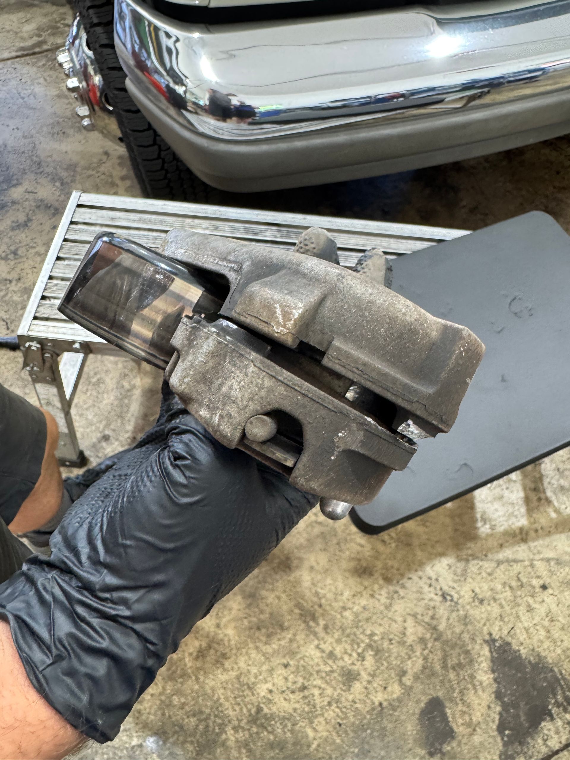 difference between squeal and squeak