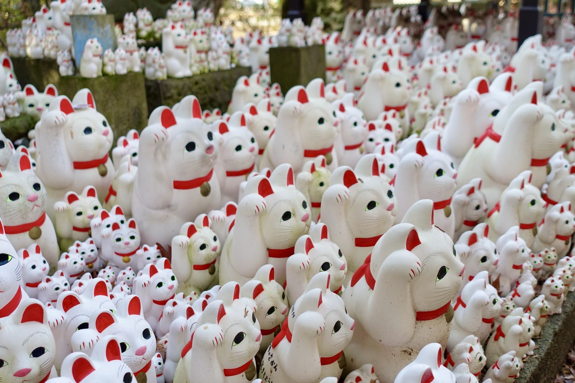 OTOMO Tokyo Tour | Private Guide Tour - Explore Tokyo