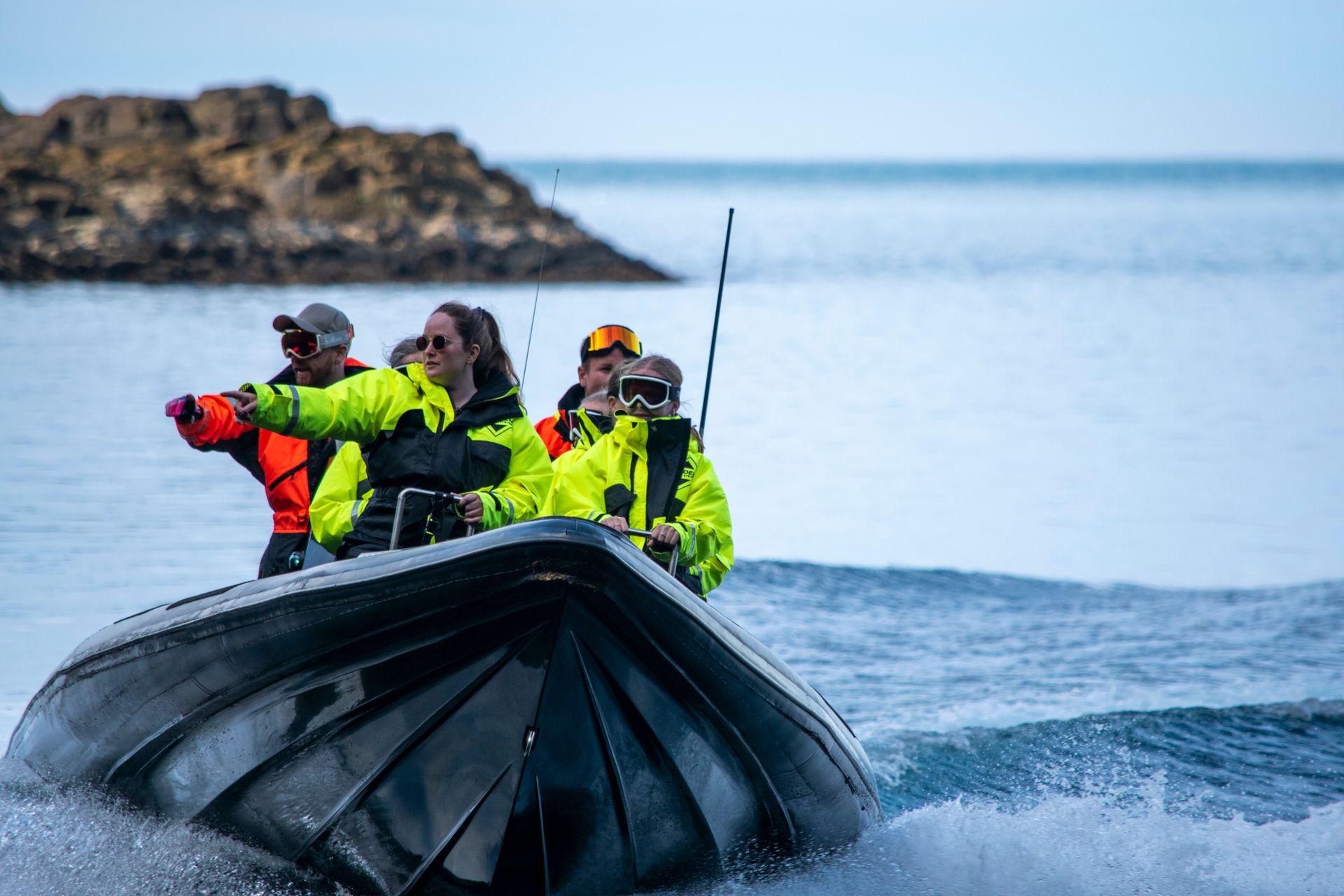 Puffin Adventures | Best Puffin Tour in Iceland