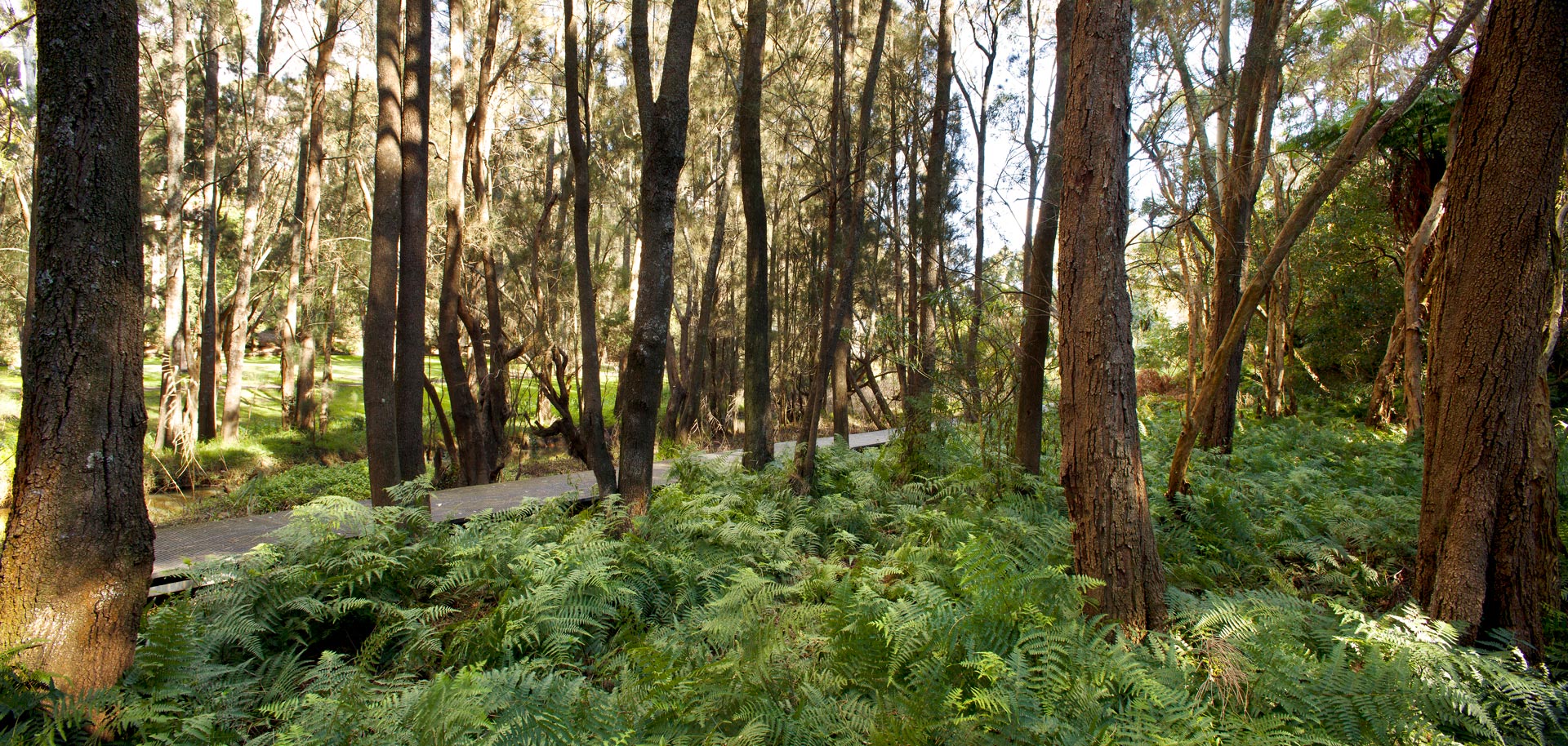 Field of Mars Reserve | Fleetwood Urban