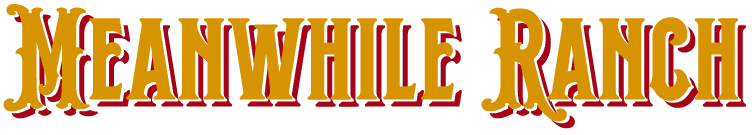 Bill Garrett's Meanwhile Ranch