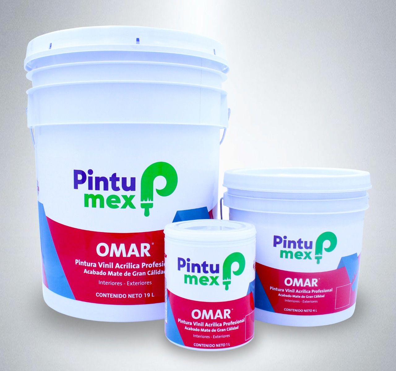 Pinturas de alta calidad en Tuxtla Gutierrez, Chiapas