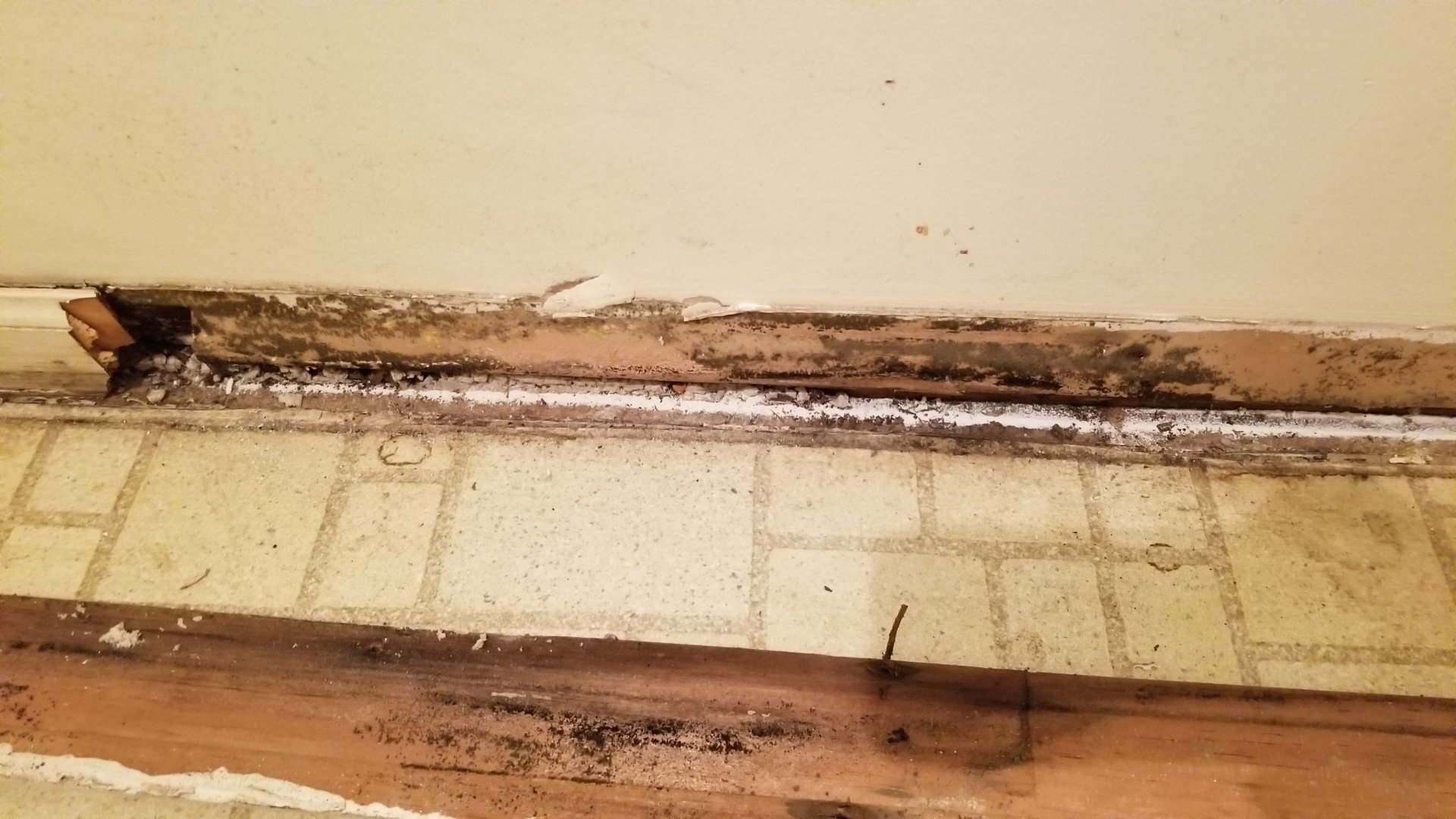 We’ll Clean for You | Alpharetta, GA | Relief Remediation